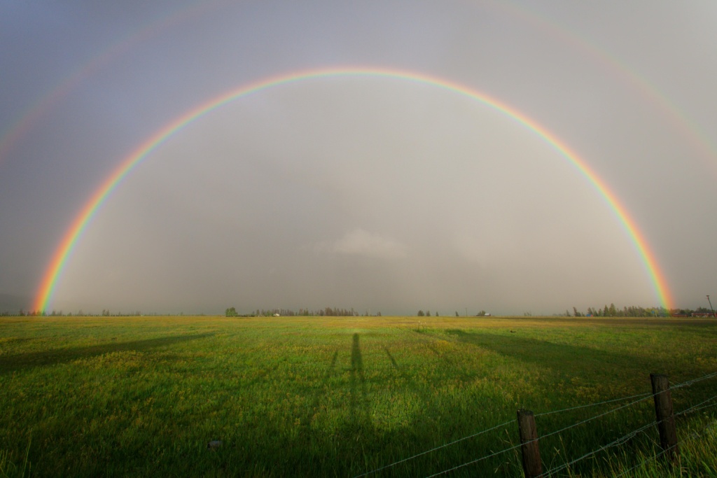 How to Use Ephemeral Content to Tell Your Brand’s Story